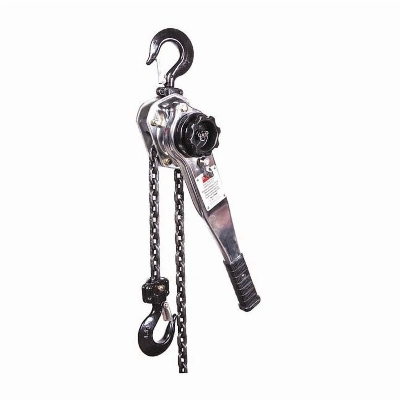 Dayton Lever Chain Hoist,3000 lb.,Lift 10 ft. 3TP95 - Walmart.com