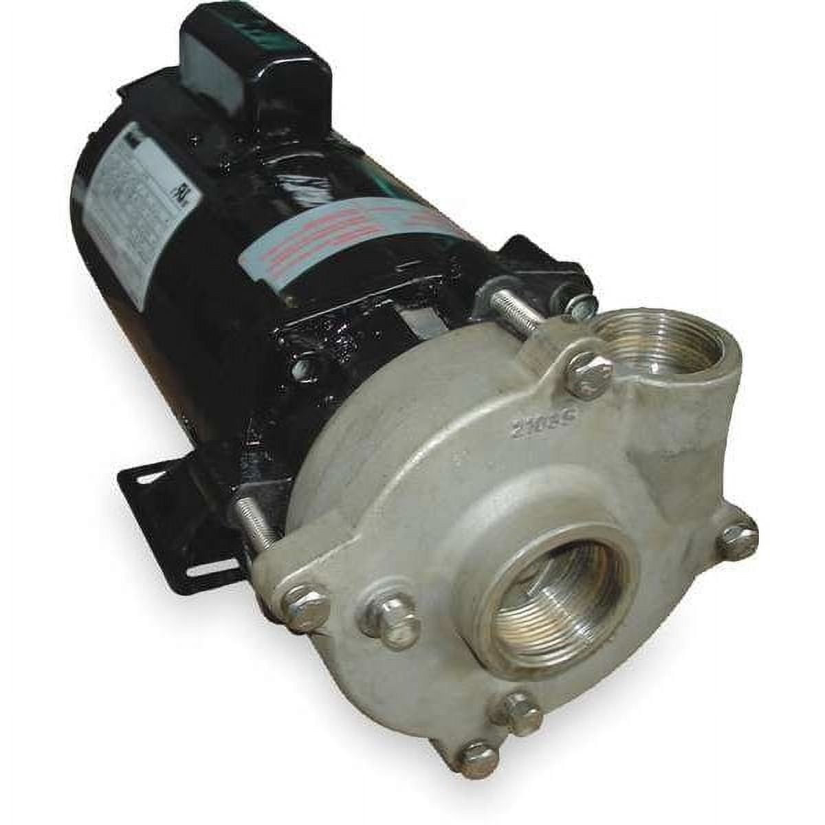 Dayton Pump,1/3 HP,1 Ph,120/240VAC 2ZWT8 - Walmart.com