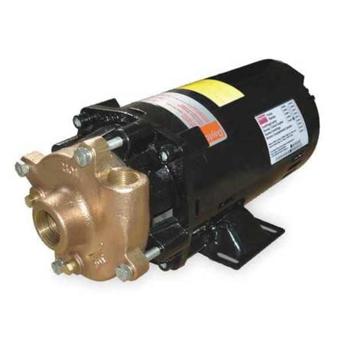 Dayton Pump,1 HP,3 Ph,230/460V AC 2ZWT1 - Walmart.com