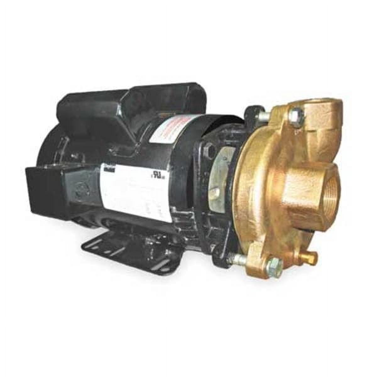 Dayton Pump,2 HP,1 Ph,115/230V AC 2ZWT4 - Walmart Business Supplies