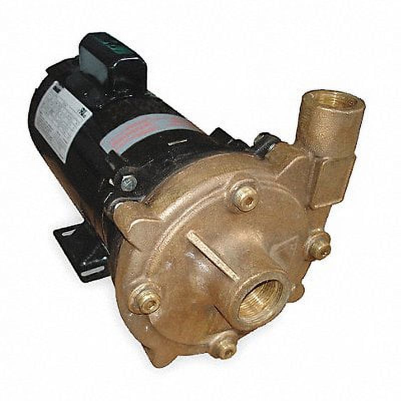Dayton Pump,3/4 HP,1 Ph,120/240VAC 2ZWZ8 - Walmart.com