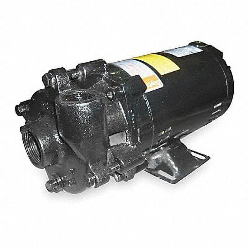 Dayton Pump,3/4 HP,3 Ph,208 to 240/480VAC 2ZWP4 - Walmart.com