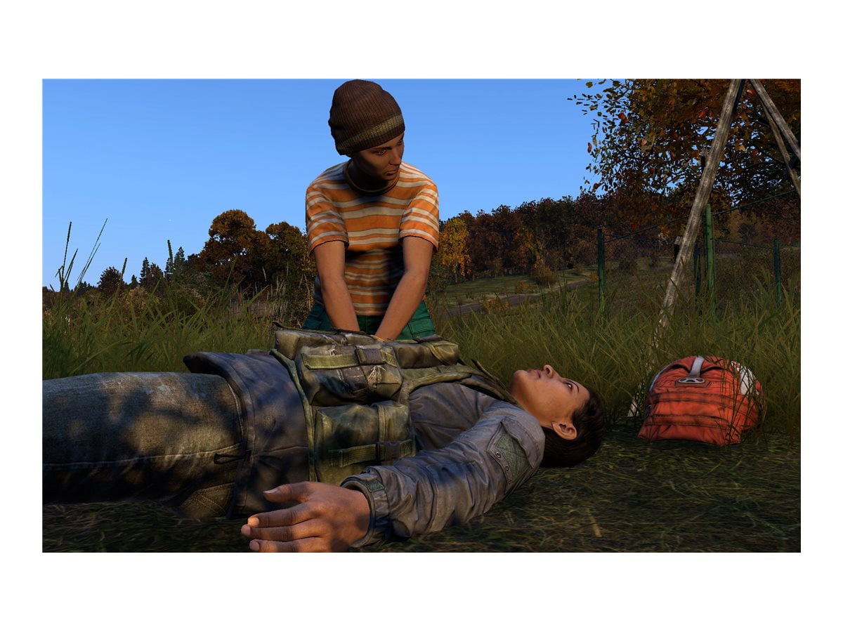 Dayz Survival Video Game for PlayStation 4 - Walmart.com
