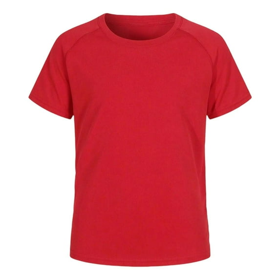 Daznico Boys Rash Guard Swim Shirt Short Sleeve Swimwear Toddler Kids ...