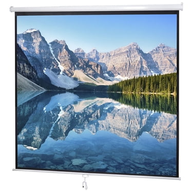 ZENY 80 inch Retractable Outdoor Projection Movie Screen, Manual Pull ...