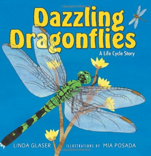 Pre-Owned Dazzling Dragonflies: A Life Cycle Story (Library Binding ...