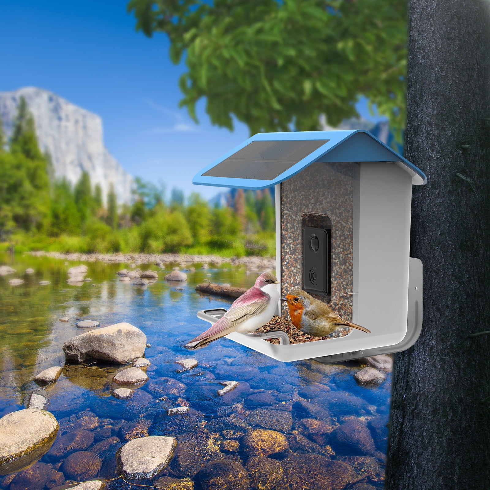 DcGZvy Bird Feeders for Outdoors Hanging Bird Feeder Waterproof Bird ...