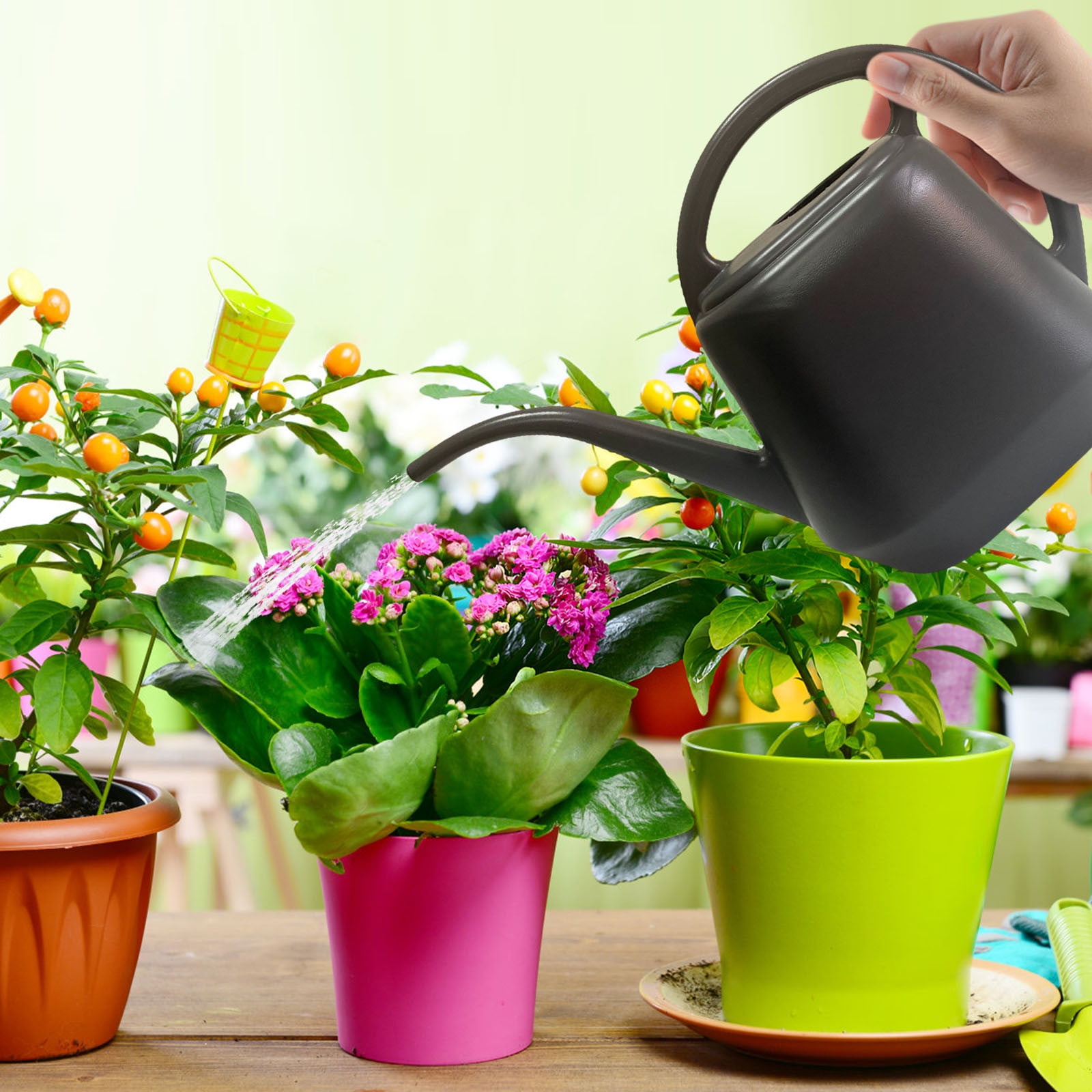 DcGZvy Watering Can Plant Watering Devices Plant Waterer Flower ...