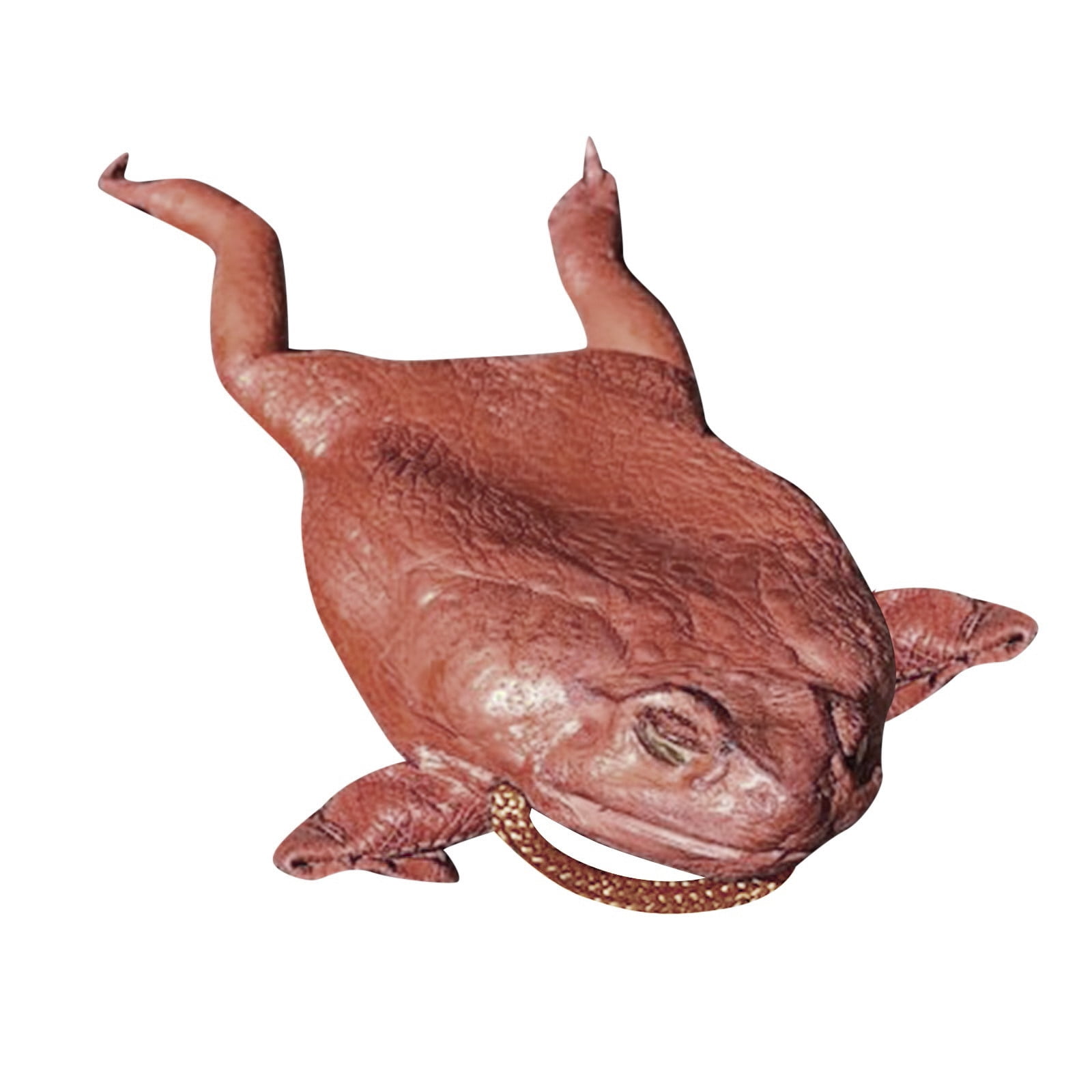 Dcomlko Funny Toad Wallet Individuality Animal Coin Pouch Realistic ...