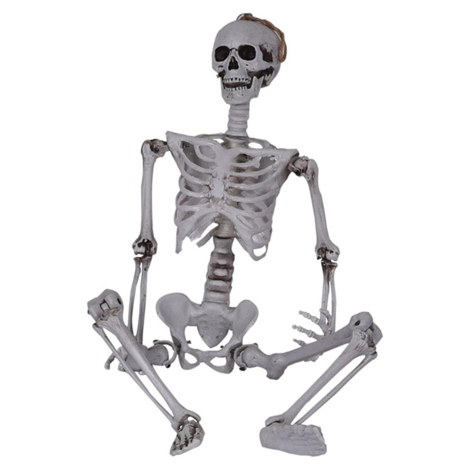 Dcomlko Table Ornaments Halloween Skeleton Life Size Full Body Posable ...