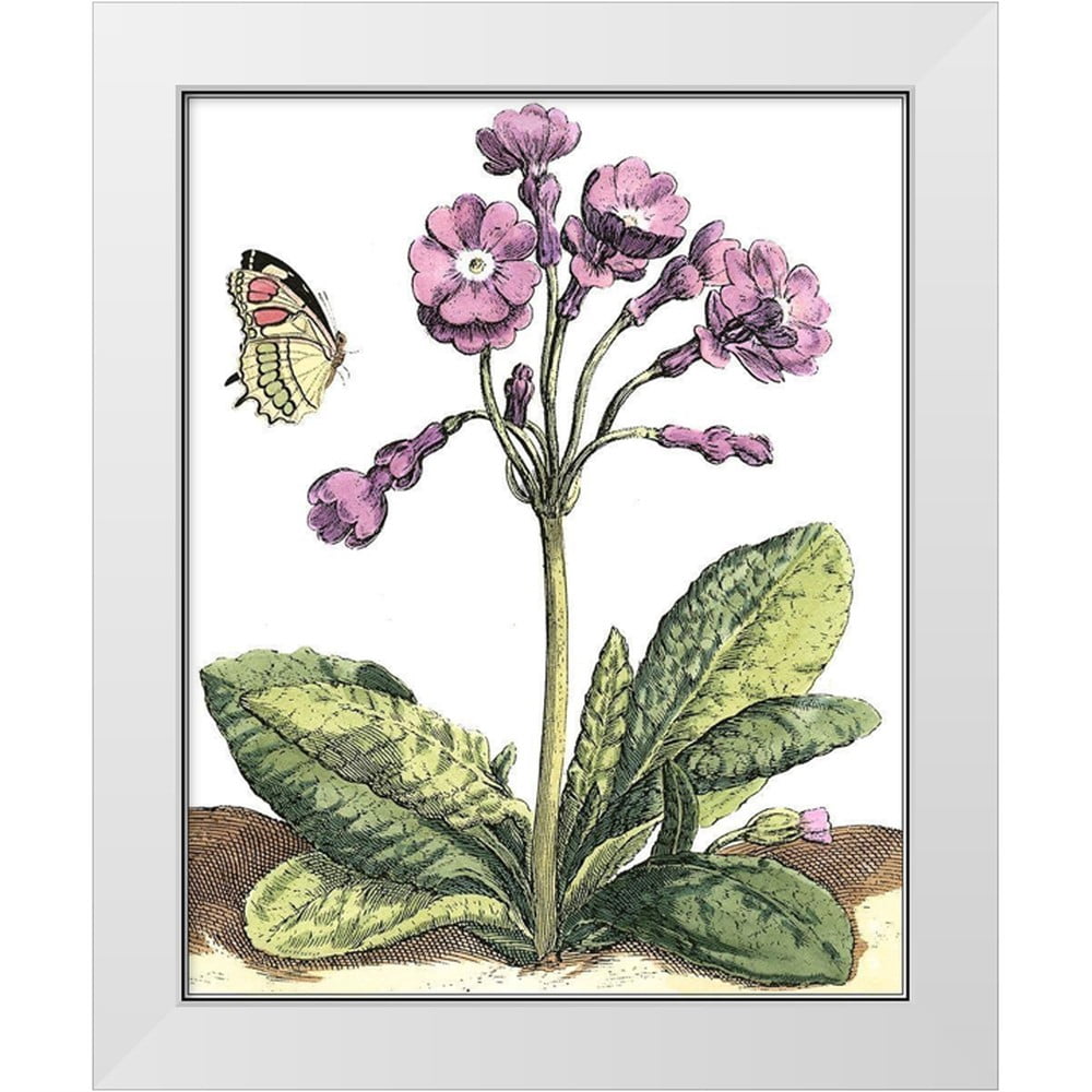 De Bry, Johann 15x18 White Modern Wood Framed Museum Art Print Titled ...