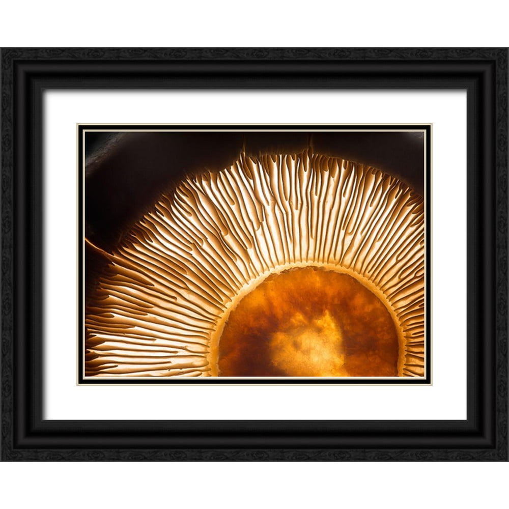 De Kogel, Wieteke 14x11 Black Ornate Wood Framed with Double Matting ...