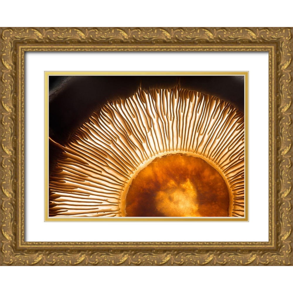 De Kogel, Wieteke 14x11 Gold Ornate Wood Framed with Double Matting ...