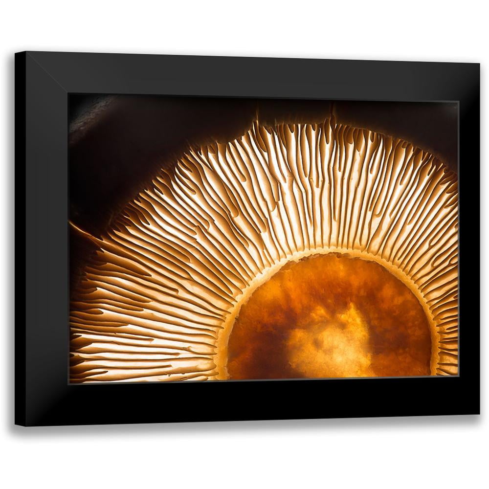 De Kogel, Wieteke 18x14 Black Modern Framed Museum Art Print Titled ...