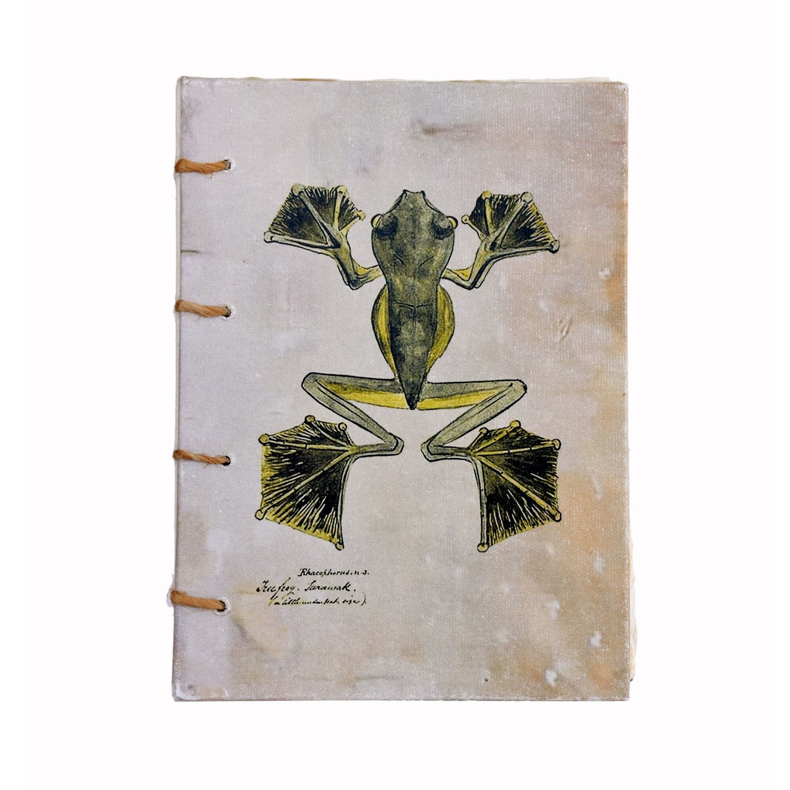 De Kulture Works Journal Botanical Frog Artwork Travelogue Diary A5 ...