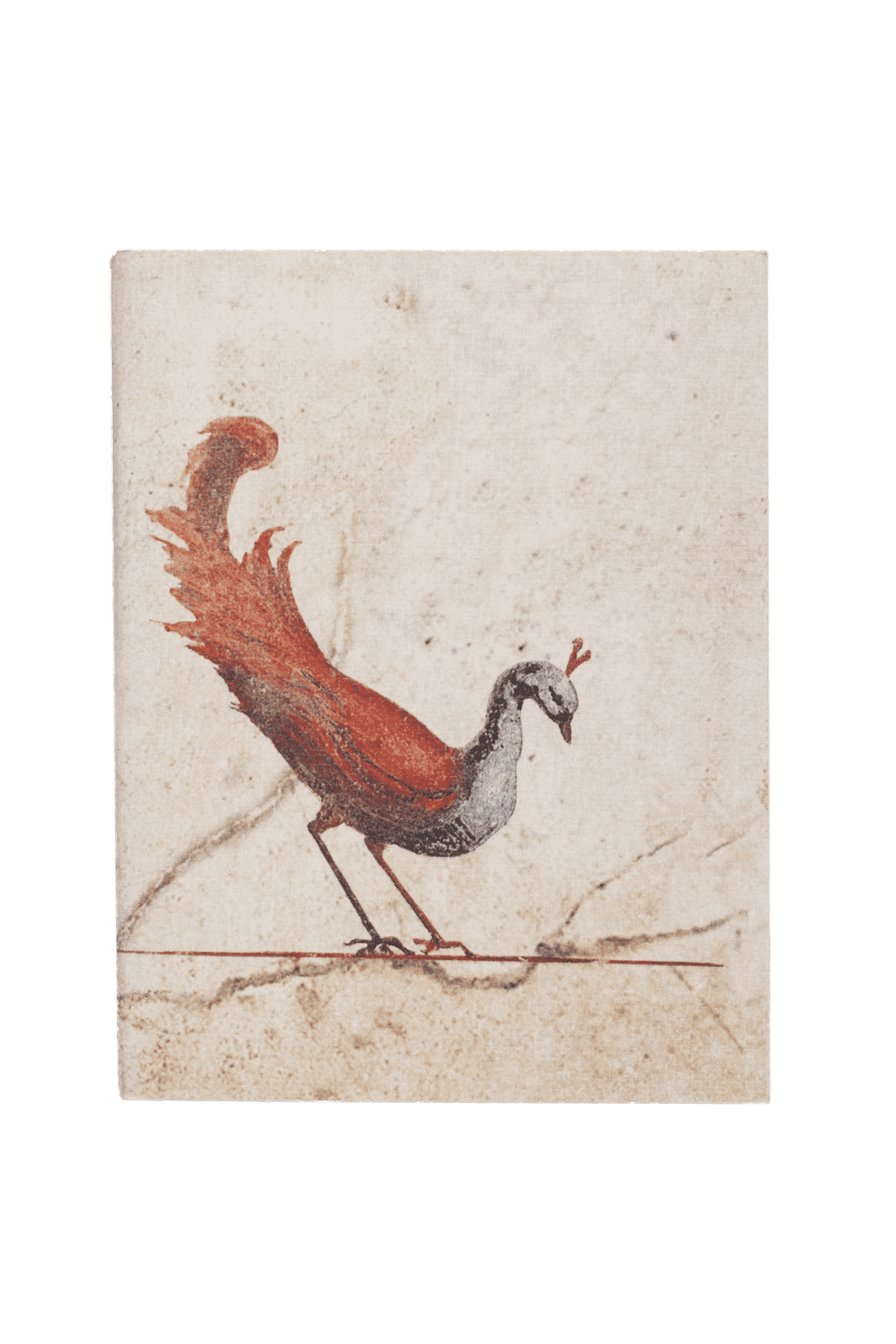 De Kulture Works Vintage Peacock Artwork Pocket Diary 100 Pages, 125 ...