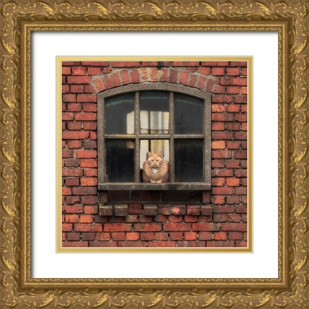 De Vos, Daan 20x20 Gold Ornate Wood Framed with Double Matting Museum ...