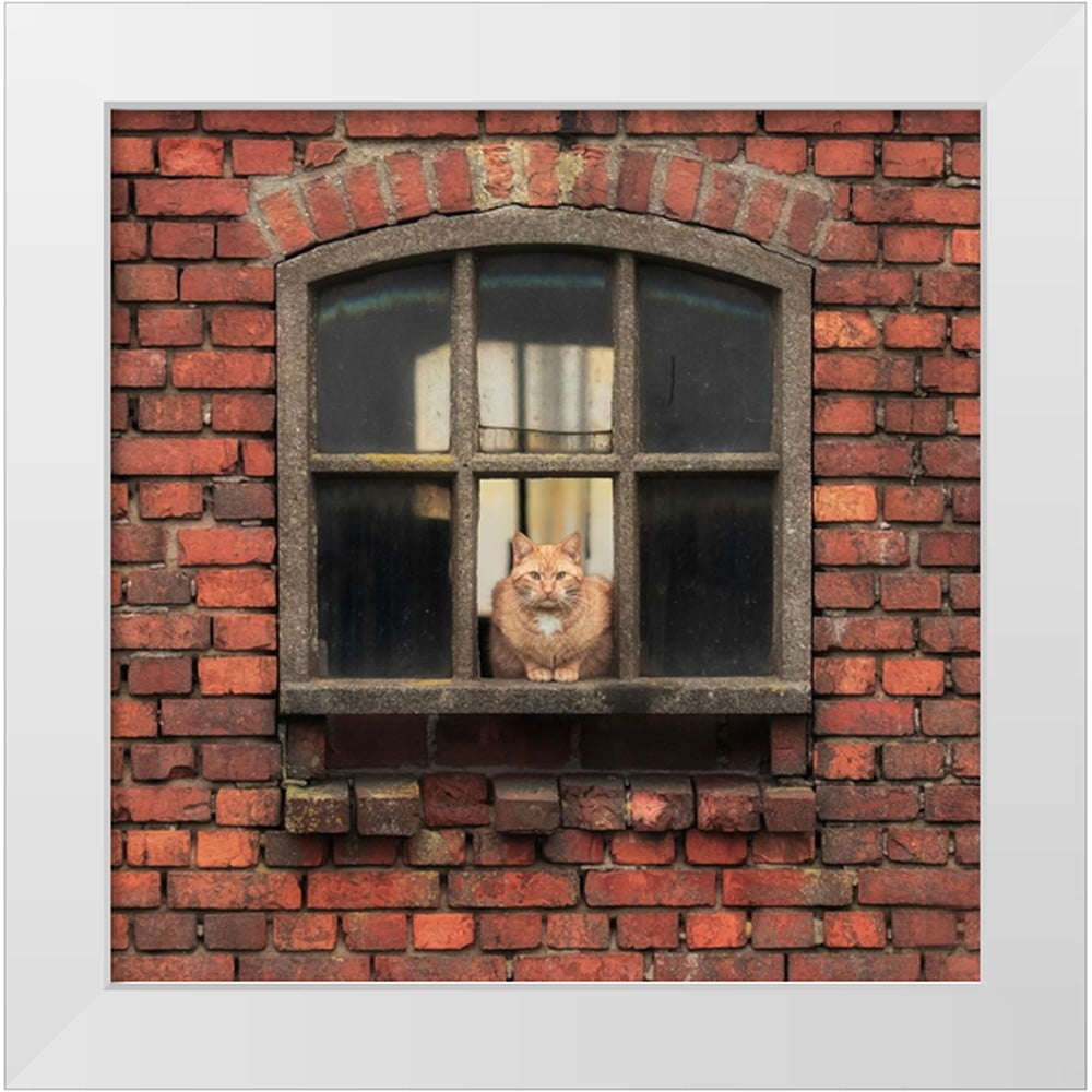 De Vos, Daan 20x20 White Modern Wood Framed Museum Art Print Titled ...