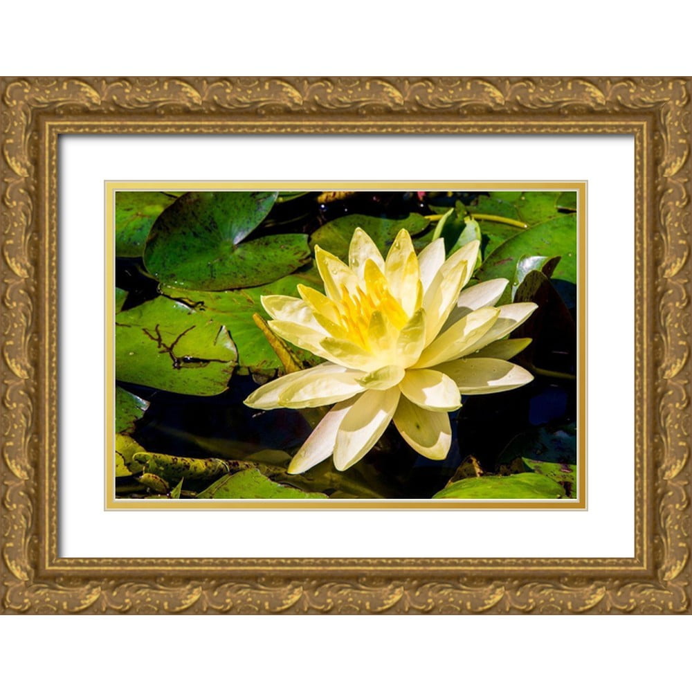 DeFreitas, Michael 14x11 Gold Ornate Wood Framed with Double Matting ...