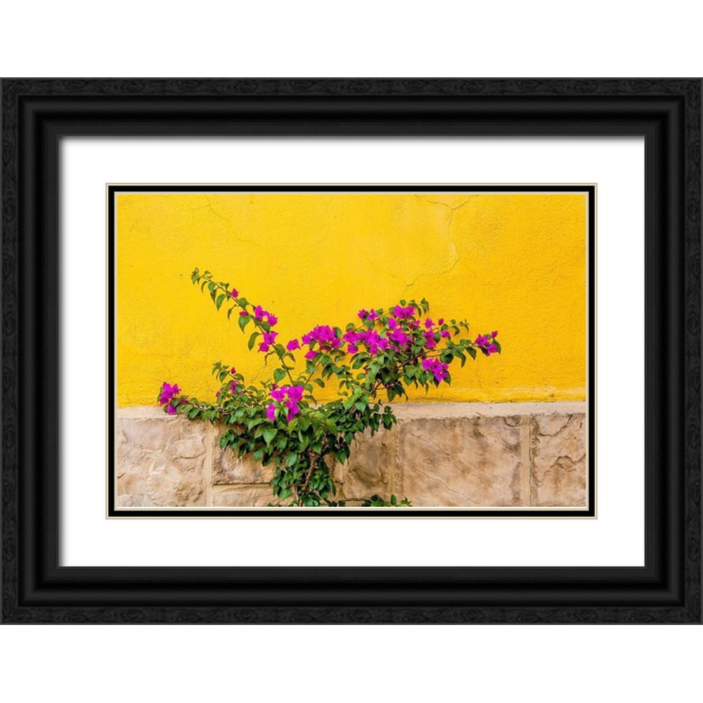 DeFreitas, Michael 18x13 Black Ornate Wood Framed with Double Matting ...