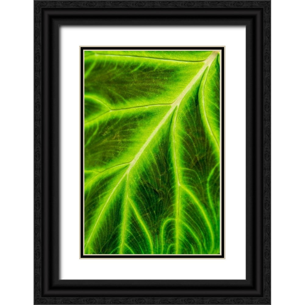 DeFreitas, Michael 23x32 Black Ornate Wood Framed with Double Matting ...