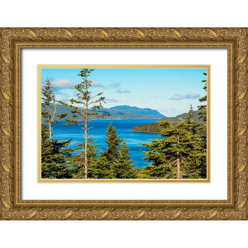 DeFreitas, Michael 24x17 Gold Ornate Wood Framed with Double Matting ...