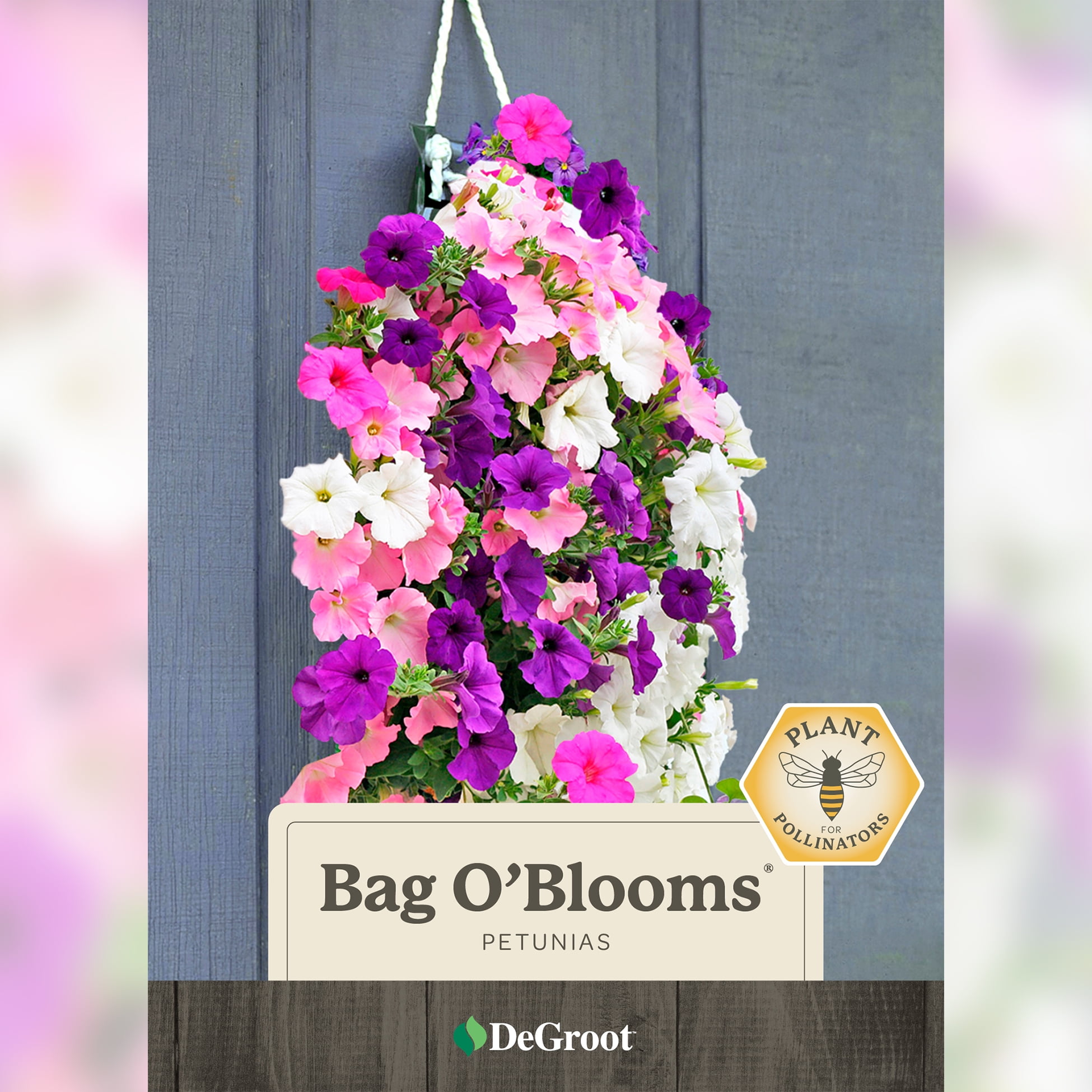 DeGroot Bag O'Blooms® Petunia Flower Seeds, Easy to grow - Walmart.com