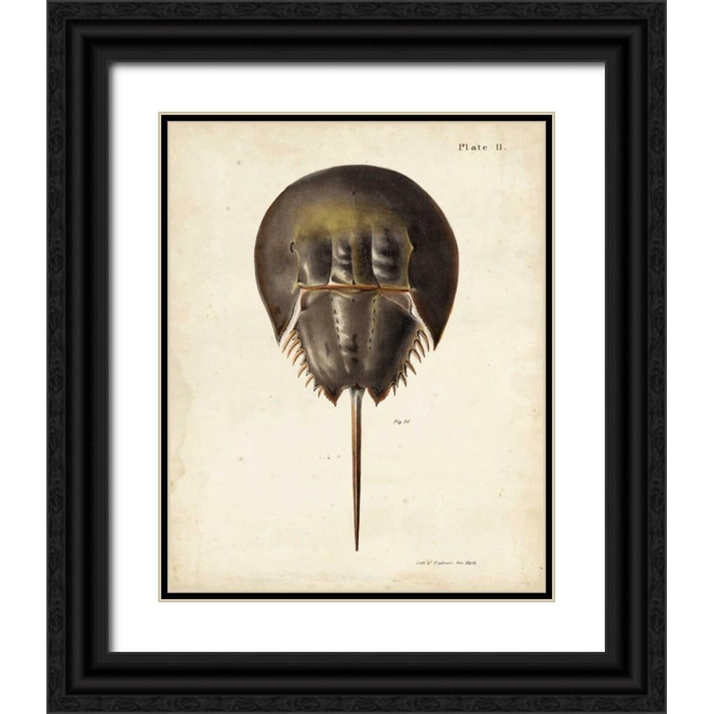 DeKay 15x18 Black Ornate Wood Framed with Double Matting Museum Art ...