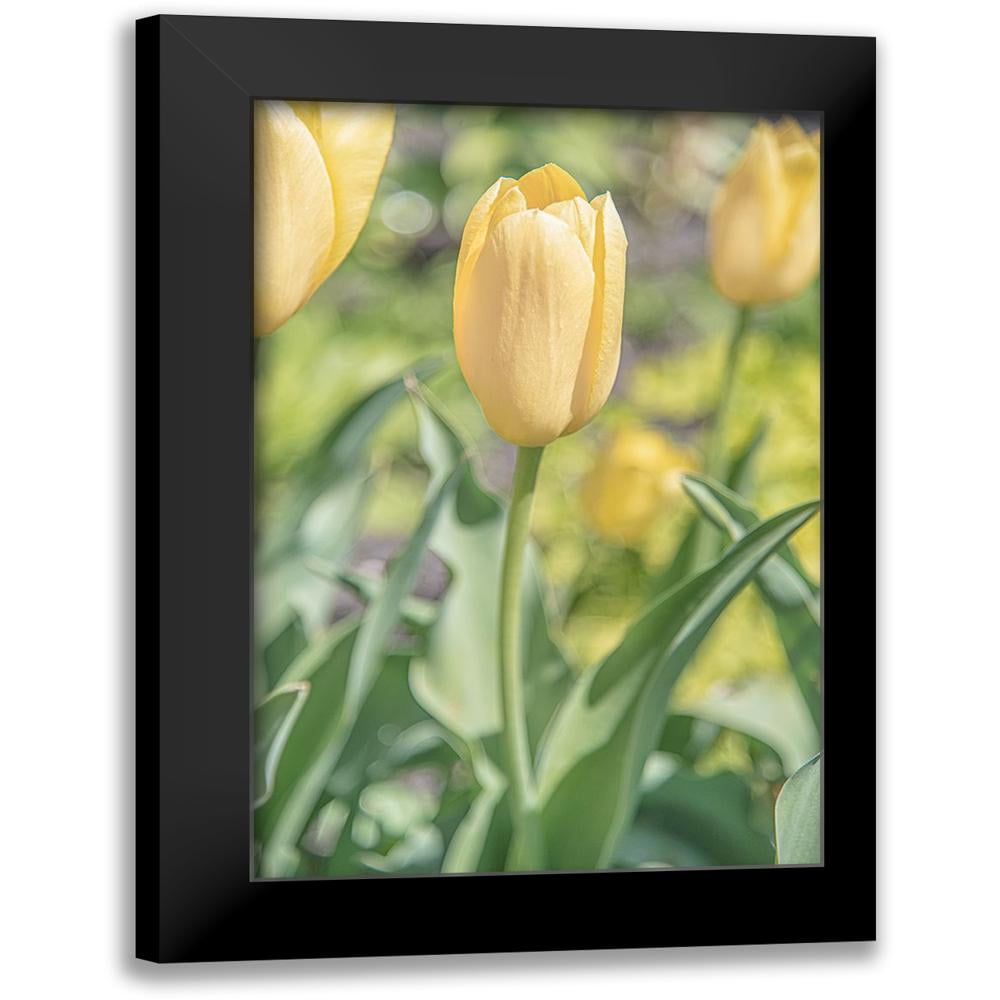 DeLuca, Pat 11x14 Black Modern Framed Museum Art Print Titled ...