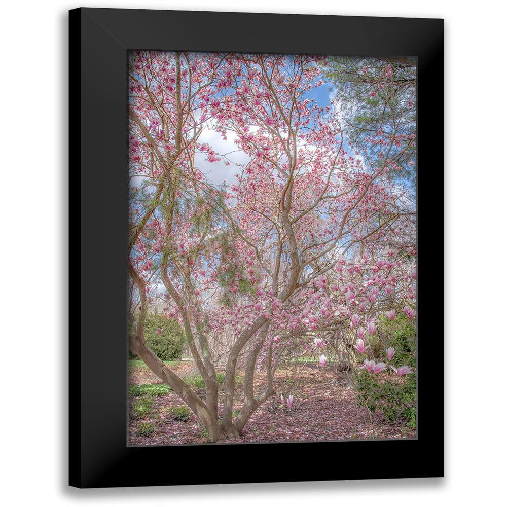 DeLuca, Pat 11x14 Black Modern Framed Museum Art Print Titled - Switch ...