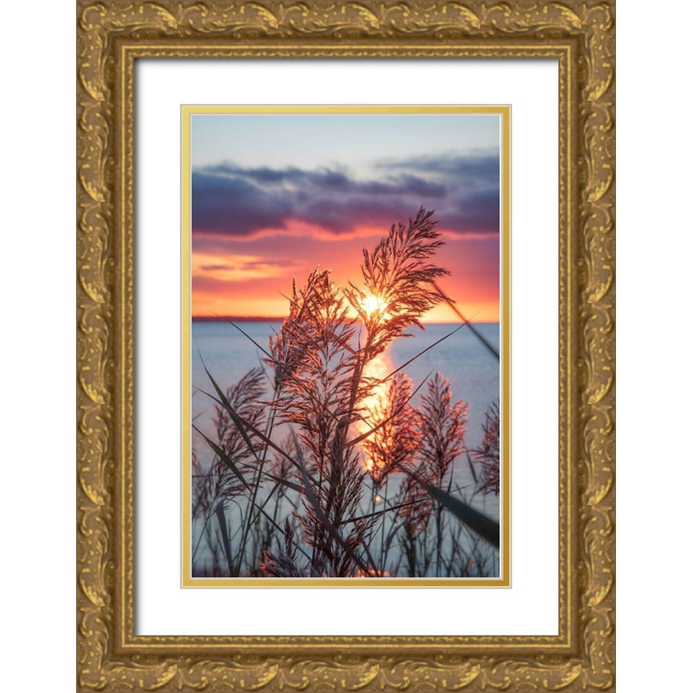 DeLuca, Pat 11x14 Gold Ornate Wood Framed with Double Matting Museum ...