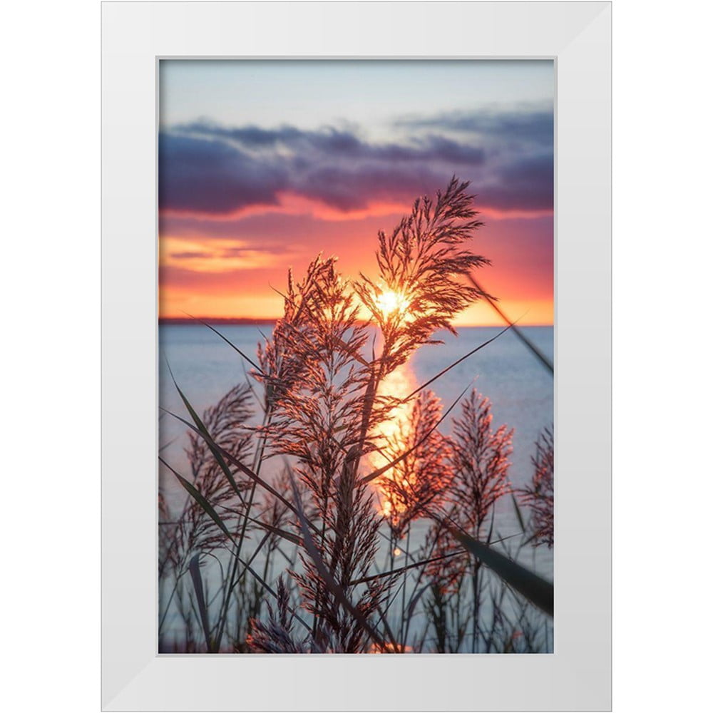 DeLuca, Pat 11x14 White Modern Wood Framed Museum Art Print Titled ...