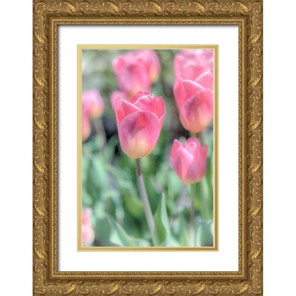 DeLuca, Pat 13x18 Gold Ornate Wood Framed with Double Matting Museum ...