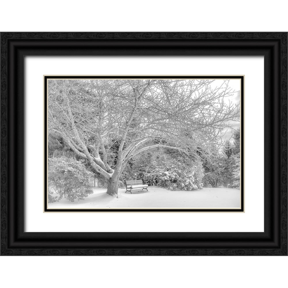 DeLuca, Pat 14x11 Black Ornate Wood Framed with Double Matting Museum ...