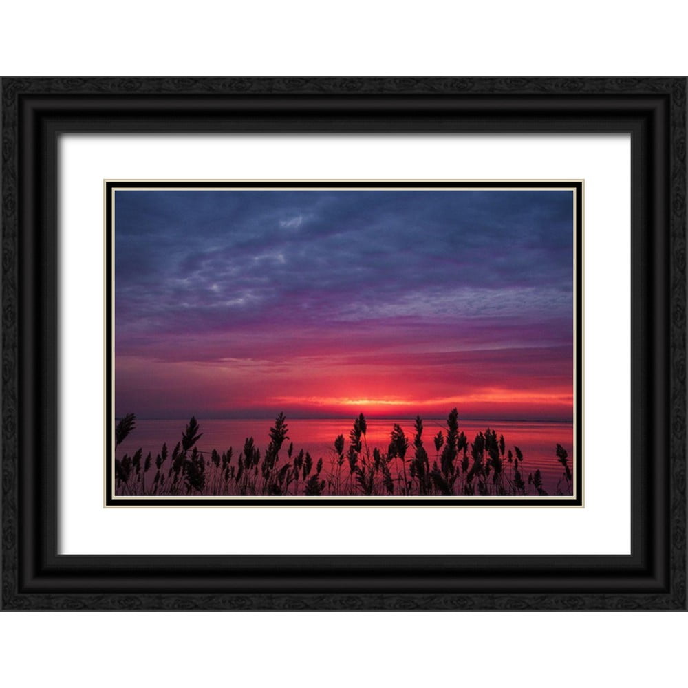 DeLuca, Pat 14x11 Black Ornate Wood Framed with Double Matting Museum ...