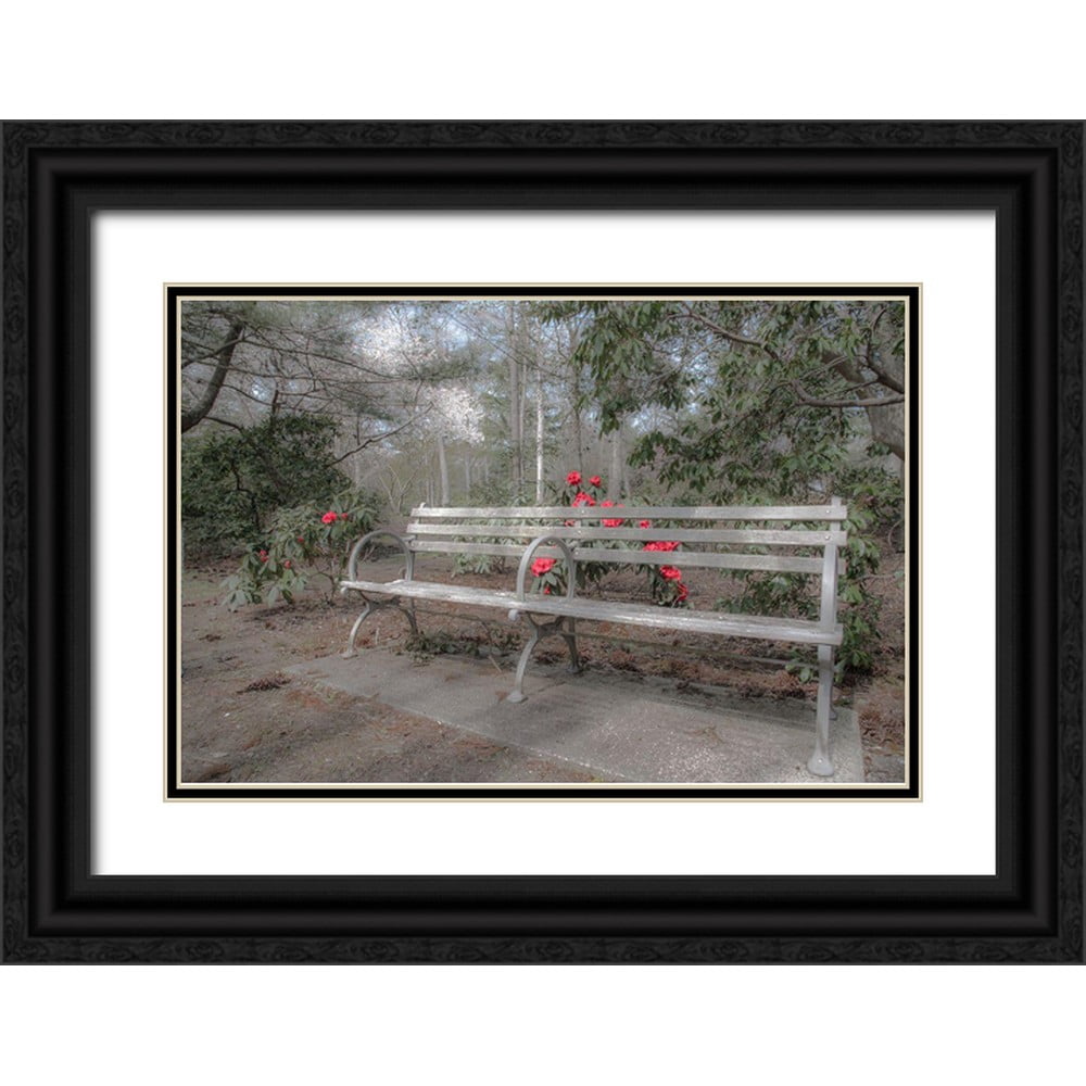 DeLuca, Pat 14x11 Black Ornate Wood Framed with Double Matting Museum ...
