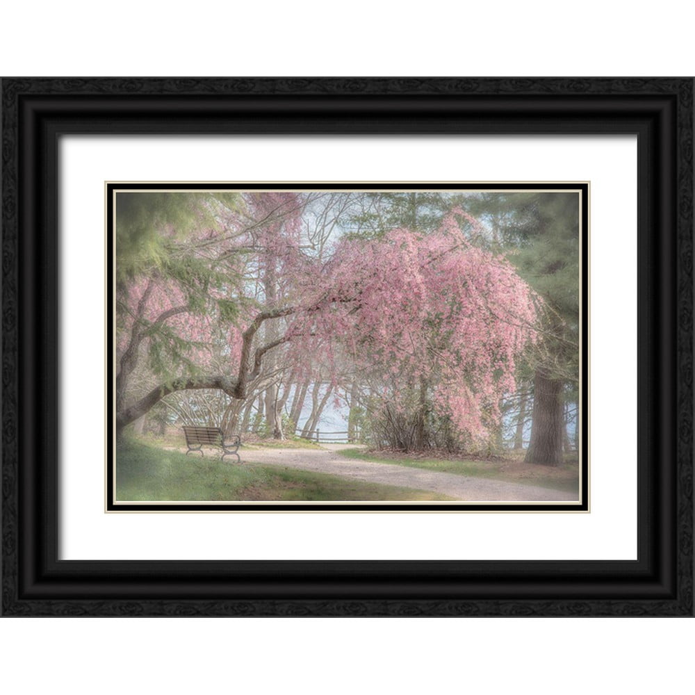 DeLuca, Pat 14x11 Black Ornate Wood Framed with Double Matting Museum ...
