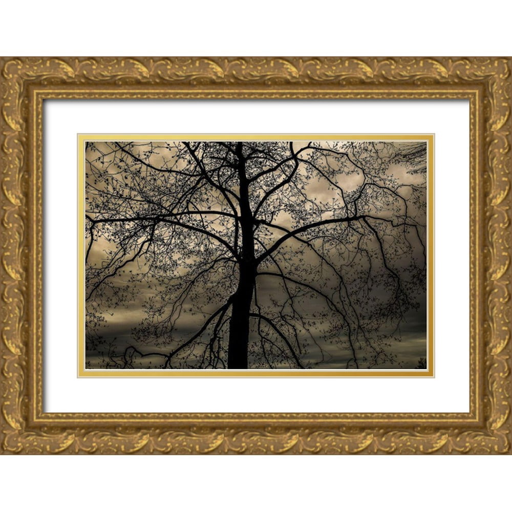 DeLuca, Pat 14x11 Gold Ornate Wood Framed with Double Matting Museum ...
