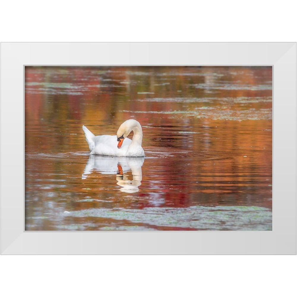 DeLuca, Pat 14x11 White Modern Wood Framed Museum Art Print Titled ...