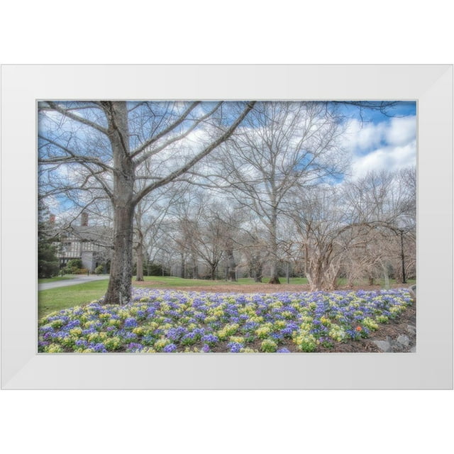 DeLuca, Pat 14x11 White Modern Wood Framed Museum Art Print Titled - Overdue Wonder - Walmart.com