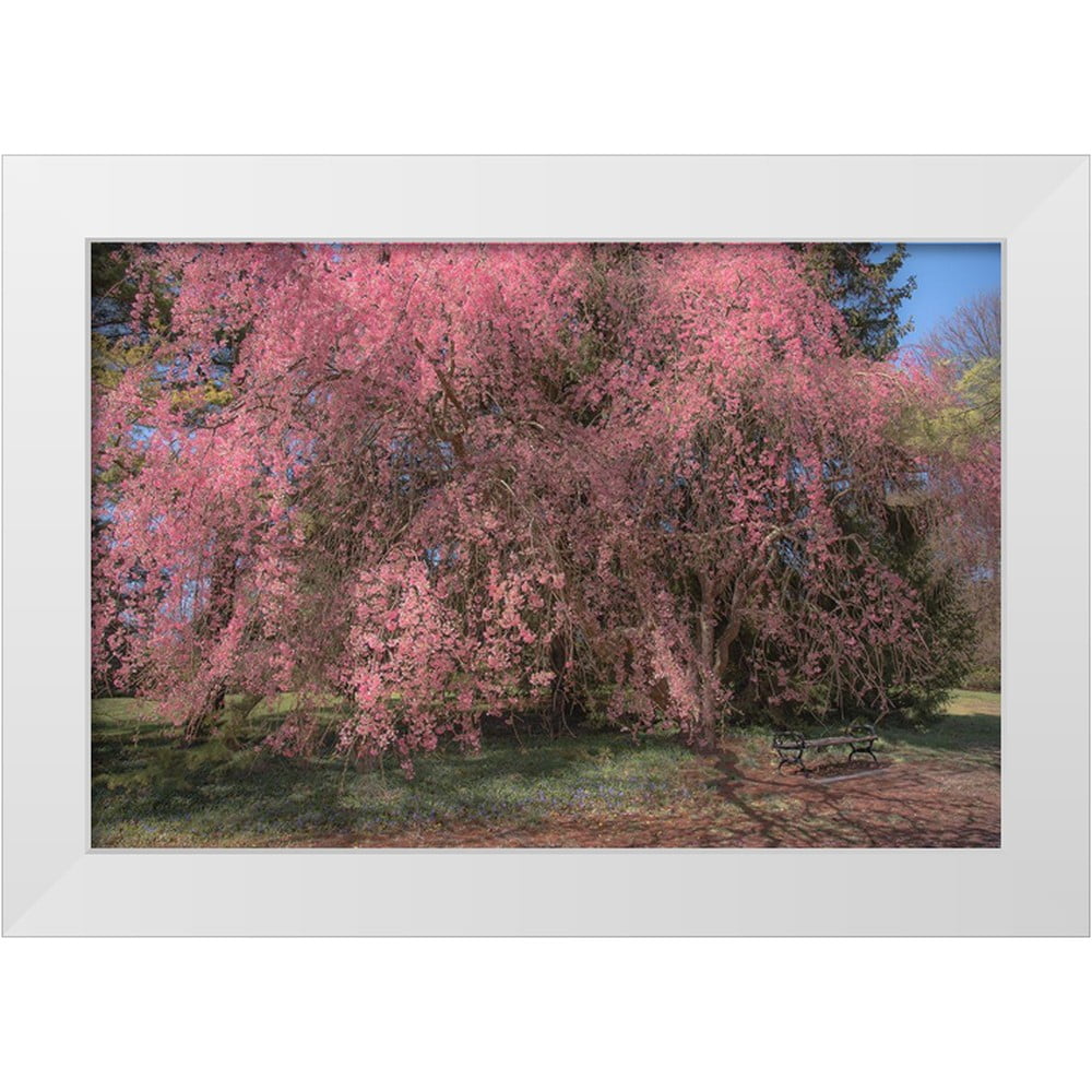 DeLuca, Pat 14x11 White Modern Wood Framed Museum Art Print Titled ...