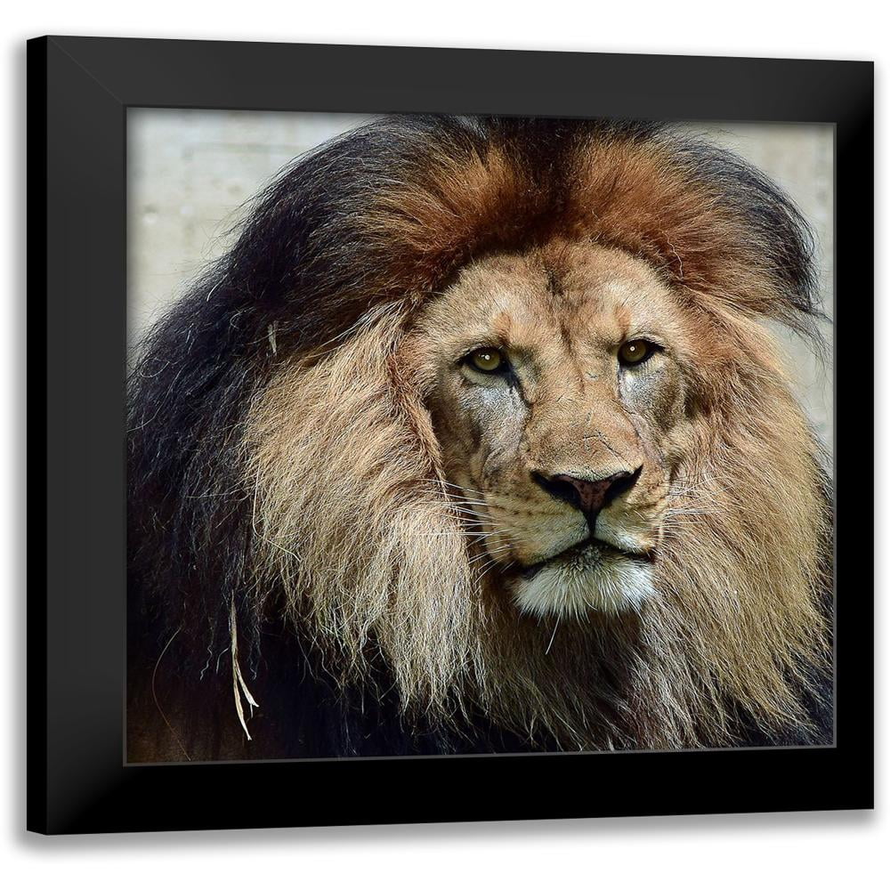 DeLuca, Pat 15x15 Black Modern Framed Museum Art Print Titled - Action ...