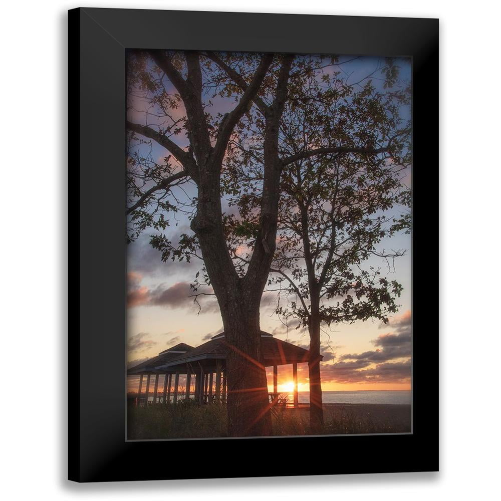 DeLuca, Pat 17x24 Black Modern Framed Museum Art Print Titled - Fragile ...