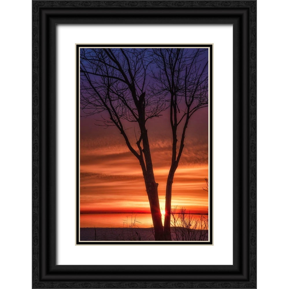 DeLuca, Pat 17x24 Black Ornate Wood Framed with Double Matting Museum ...