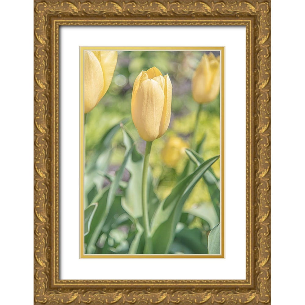 DeLuca, Pat 17x24 Gold Ornate Wood Framed with Double Matting Museum ...