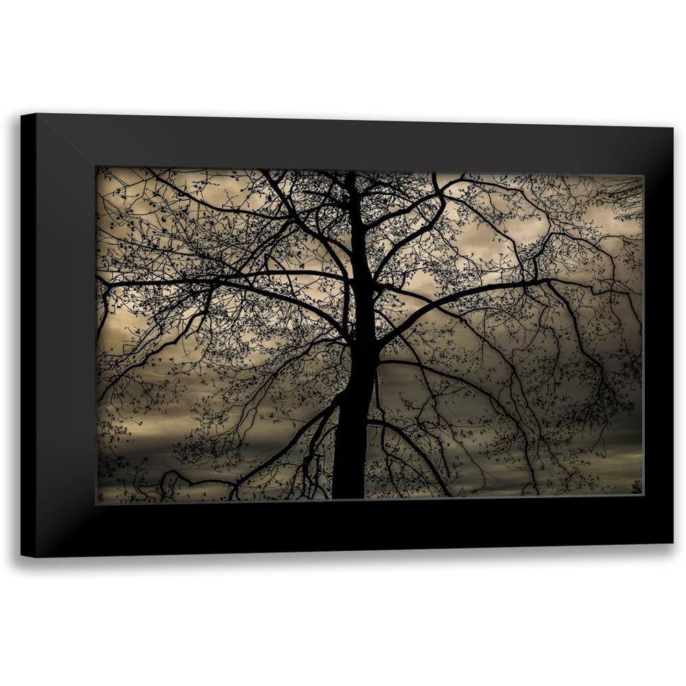 DeLuca, Pat 18x13 Black Modern Framed Museum Art Print Titled ...
