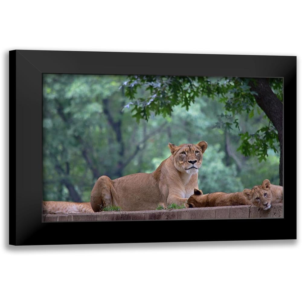 DeLuca, Pat 18x13 Black Modern Framed Museum Art Print Titled - Pride ...