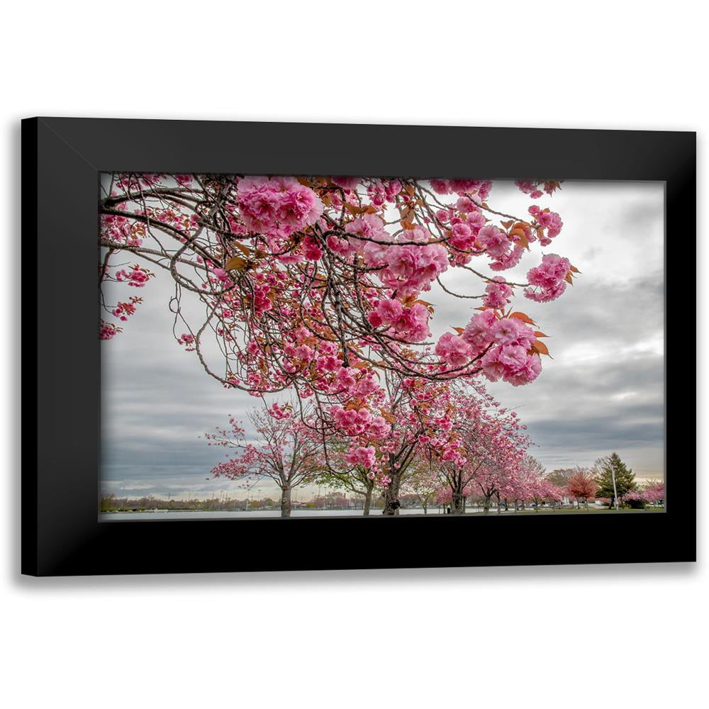 DeLuca, Pat 18x13 Black Modern Framed Museum Art Print Titled ...