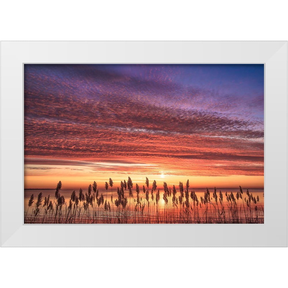 DeLuca, Pat 18x13 White Modern Wood Framed Museum Art Print Titled ...