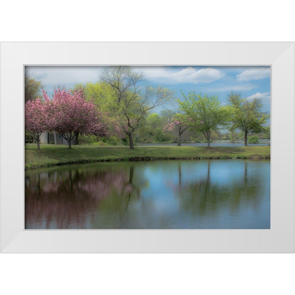 DeLuca, Pat 18x13 White Modern Wood Framed Museum Art Print Titled ...